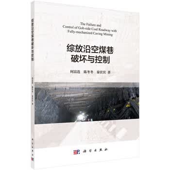 综放沿空煤巷破坏与控制