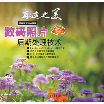 再造之美——数码照片后期处理技术 9787302374862