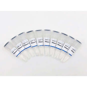 优选 双蒸水ddH2O无菌双蒸水无酶灭菌双蒸水500ml 10*1ml科研试剂 灭菌双蒸水 10*1ml【图片 价格 品牌 报价】-京东