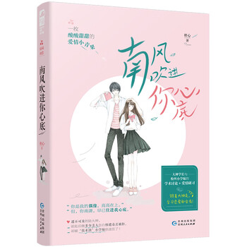 南风吹进你心底 青春文学 书籍