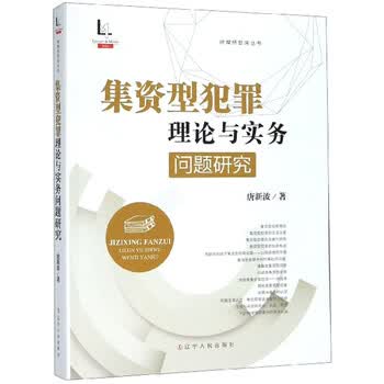 集资型犯罪理论与实务问题研究