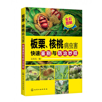 板栗核桃病虫害快速鉴别与防治妙招