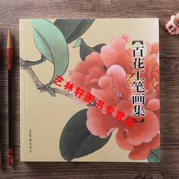 现货当天发 百花工笔画集 田世光 于非闇 俞致贞绘 荣宝斋工笔花鸟花卉白描图集线白描工笔画花鸟绘画