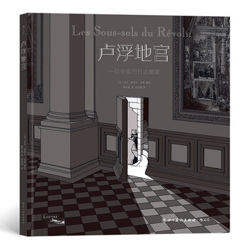 卢浮地宫：一位专家的日志摘要（《3秒》《方向》作者新作）