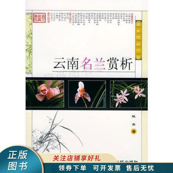 云南名兰赏析 陈贵