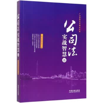 公司法实战智慧(2)/广州律师业务研究丛书