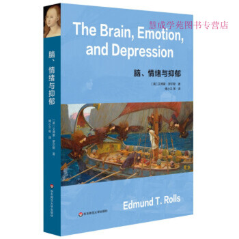 n脑、情绪与抑郁 情绪研究专业图书 正版 华东师大