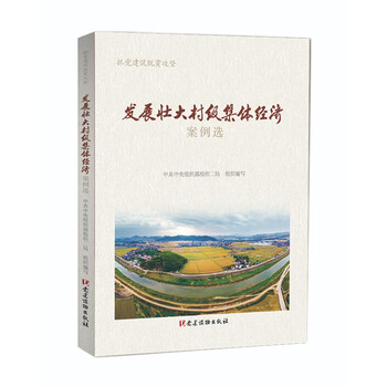 发展壮大村级集体经济案例选