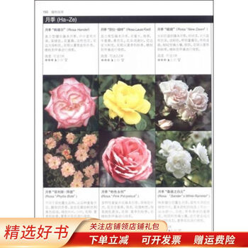 铁线莲与藤蔓植物