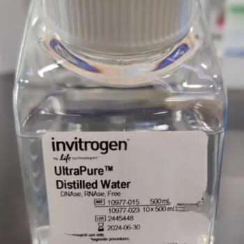赛默飞无核酸酶水 invitRogen distilled water 10977015 现货10【图片 价格 品牌 报价】-京东