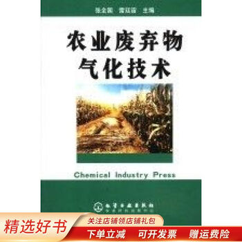 农业废弃物气化技术