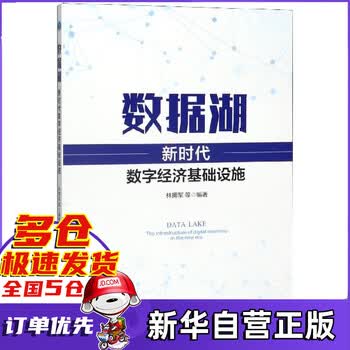 数据湖(新时代数字经济基础设施)