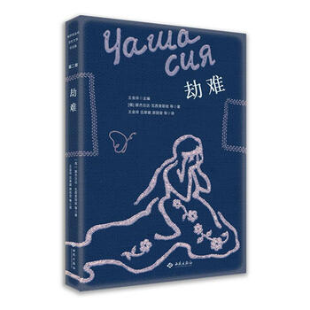 劫难小说  图书