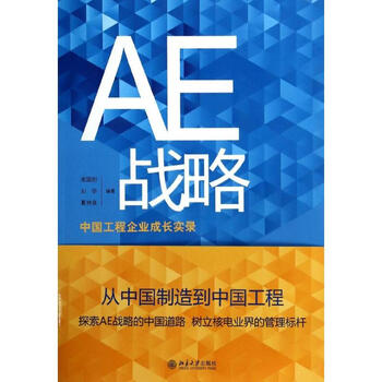 AE战略:中国工程企业成长实录