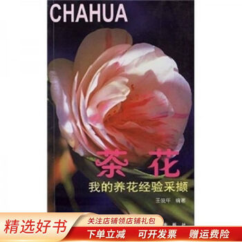我的养花经验采撷：茶花 王俊年