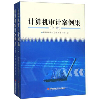 计算机审计案例集（套装上下册）