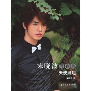 宋晓波写真集-天使展翅 宋晓波 著 9787547601174