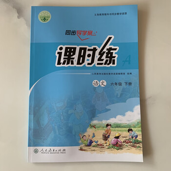 2021版同步导学案课时练六年级语文下册测试卷答案人民教育出版社