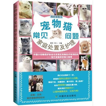宠物猫常见问题家庭处置及护理