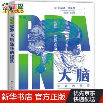 大脑运转的秘密