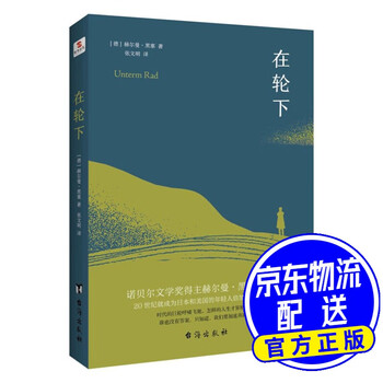 经典文学名著小说 在轮下