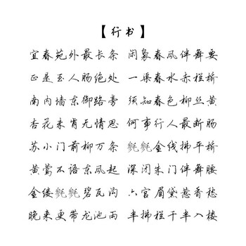 2022年公务员申论范文考试字帖国考公考行书楷书临摹钢笔练字帖 行书套餐二：具体见详情页