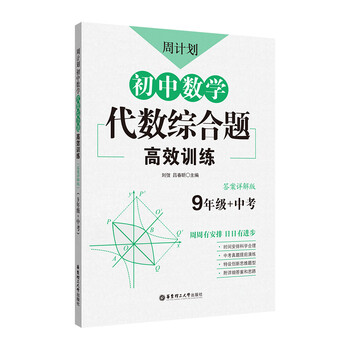 周计划：初中数学代数综合题高效训练（9年级+中考）