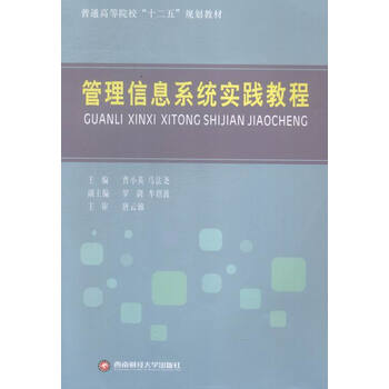管理信息系统实践教程 管理 书籍