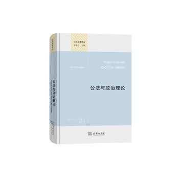 公法与政治理论