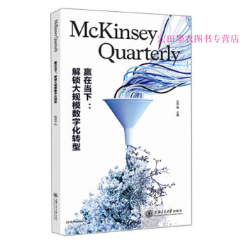 赢在当下解锁大规模数字化转型 不详