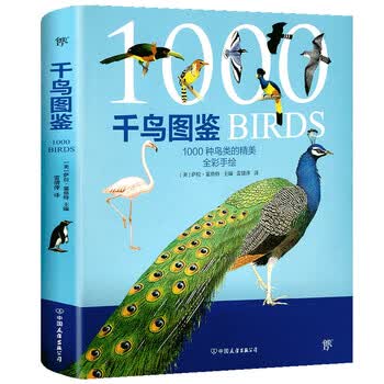[正版图书]千鸟图鉴