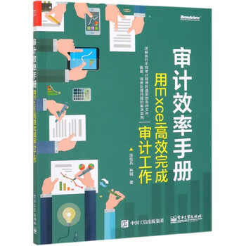 审计效率手册(用Excel高效完成审计工作)