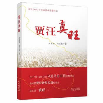 正版 贾汪真旺9787553327761