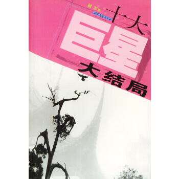 十大大结局