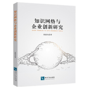 知识网络与企业创新研究  知识产权出版社