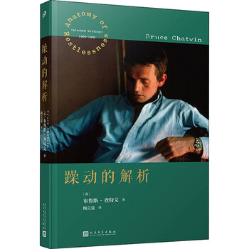 躁动的解析 图书