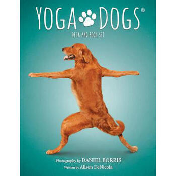 Yoga Dogs Deck and Book Set