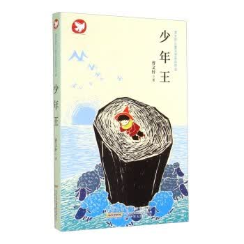 曹文轩儿童文学获奖作品：少年王