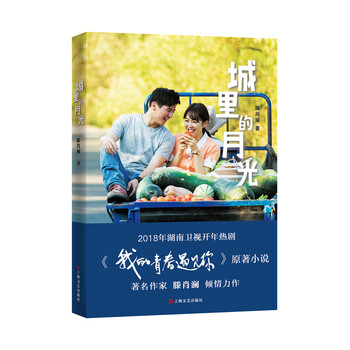 长篇小说:城里的月光9787532133673