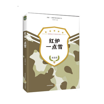 红炉一点雪 小说 书籍