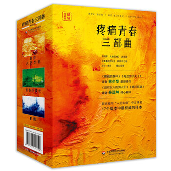 疼痛青春三部曲：斜阳 人的失格+白痴+青春的悖论（套装全3册）