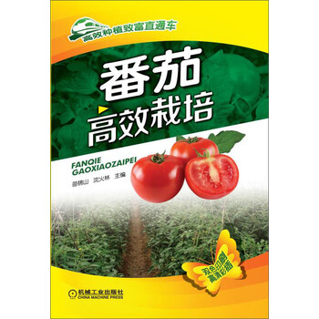 高效种植致富直通车：番茄高效栽培