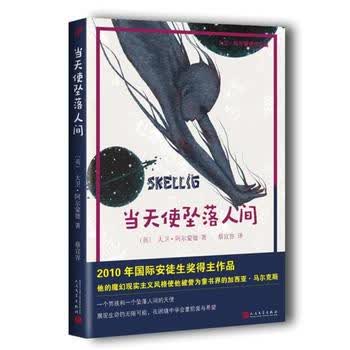 当天使坠落人间(大卫 阿尔蒙德作品集)
