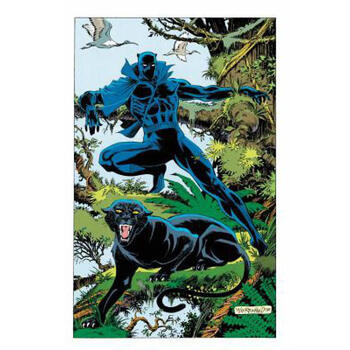 Black Panther: Panther's Quest