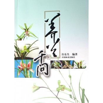 养兰千问
