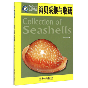 海贝采集与收藏