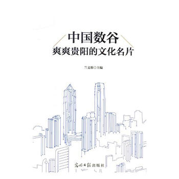 中国数谷：爽爽贵阳的文化名片 书籍 经济 智能经济