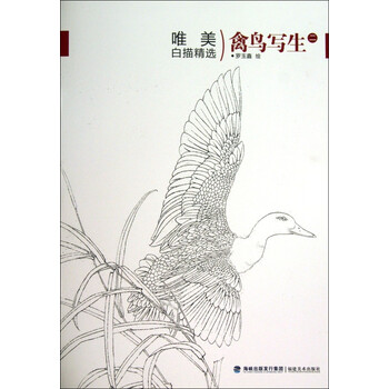 禽鸟写生(2)/唯美白描精选