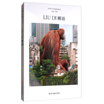 柳迪/中国当代摄影图录