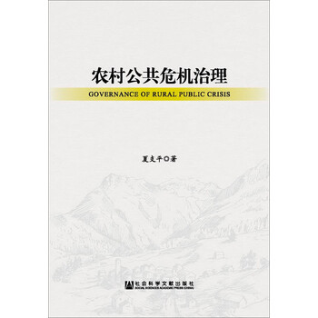农村公共危机治理